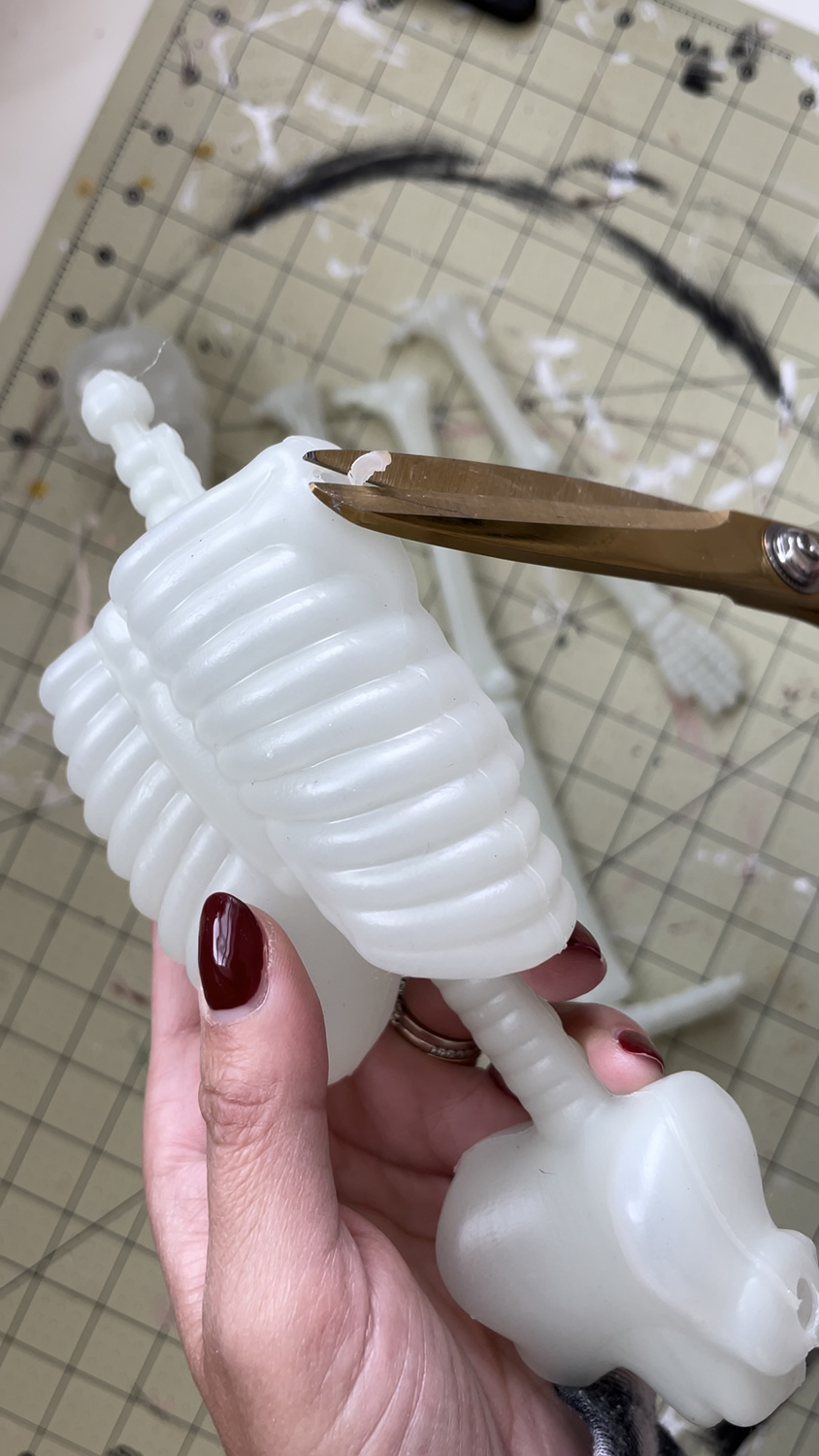 DIY Halloween Frames | Moody Skeleton & Snake Decor - Laura Jade Prado