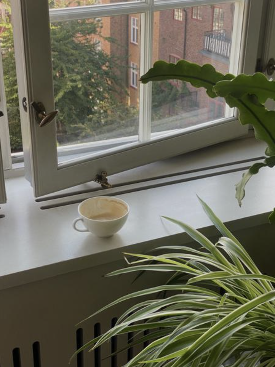 How to Create an Aesthetic Photo Diary and Capture Everyday Moments ...