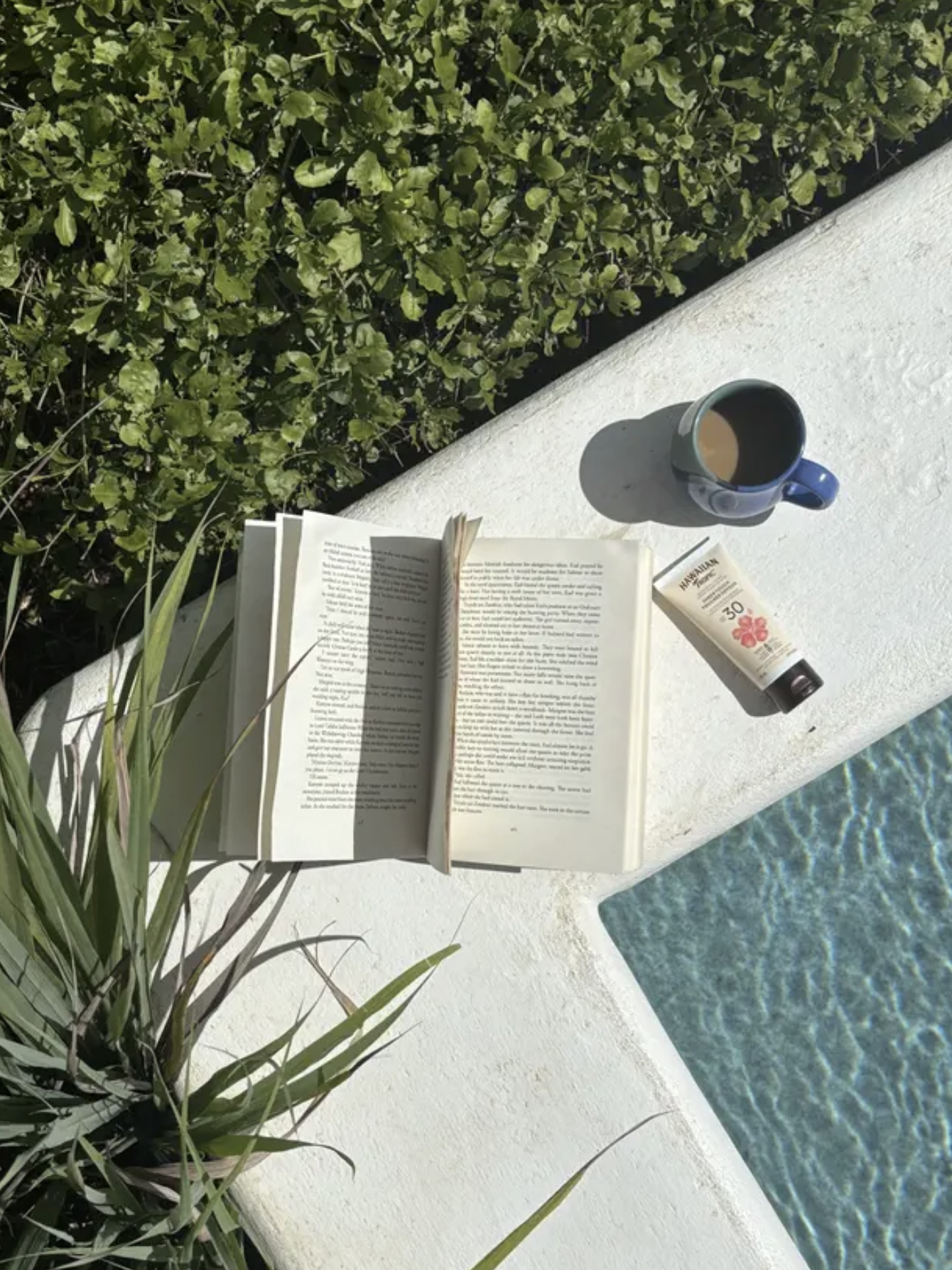 12 Books to Add to Your Summer TBR List - Laura Jade Prado